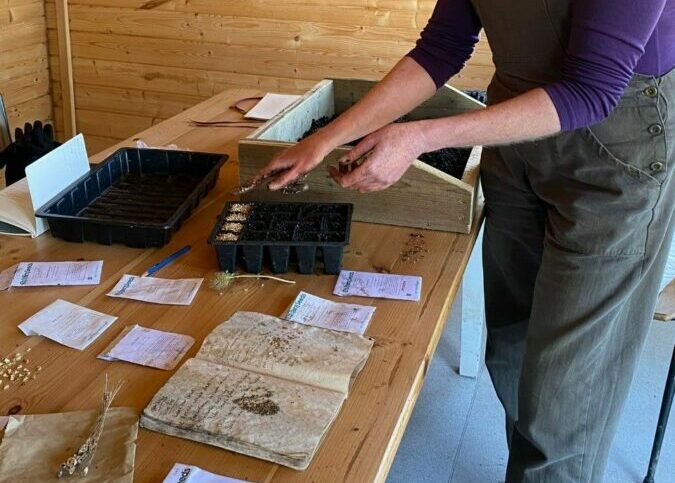 Events - Broom House Farm