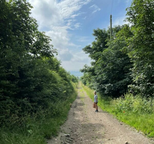 Guided countryside walk (Durham County Council) - Broom House Farm